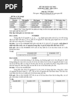 3. Đề HSG Tin học 9 | PDF