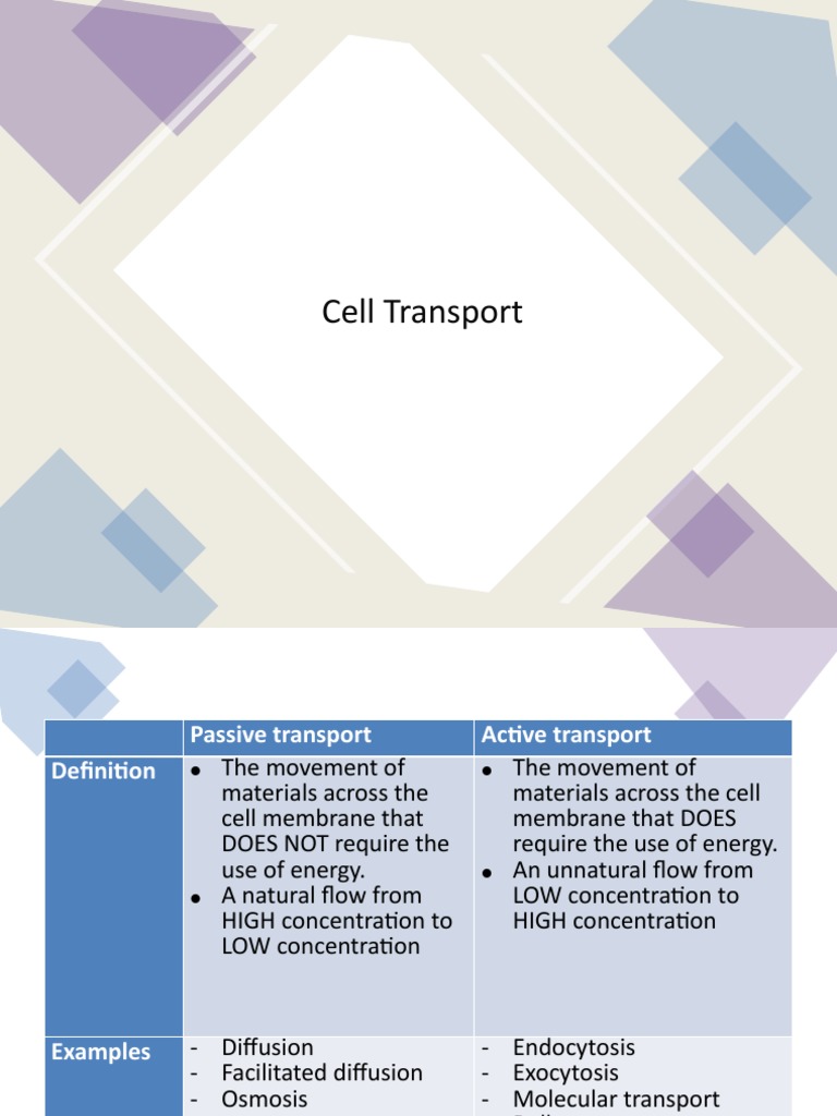 Cell Transport Powerpoint Notes | PDF | Osmosis | Cell Membrane