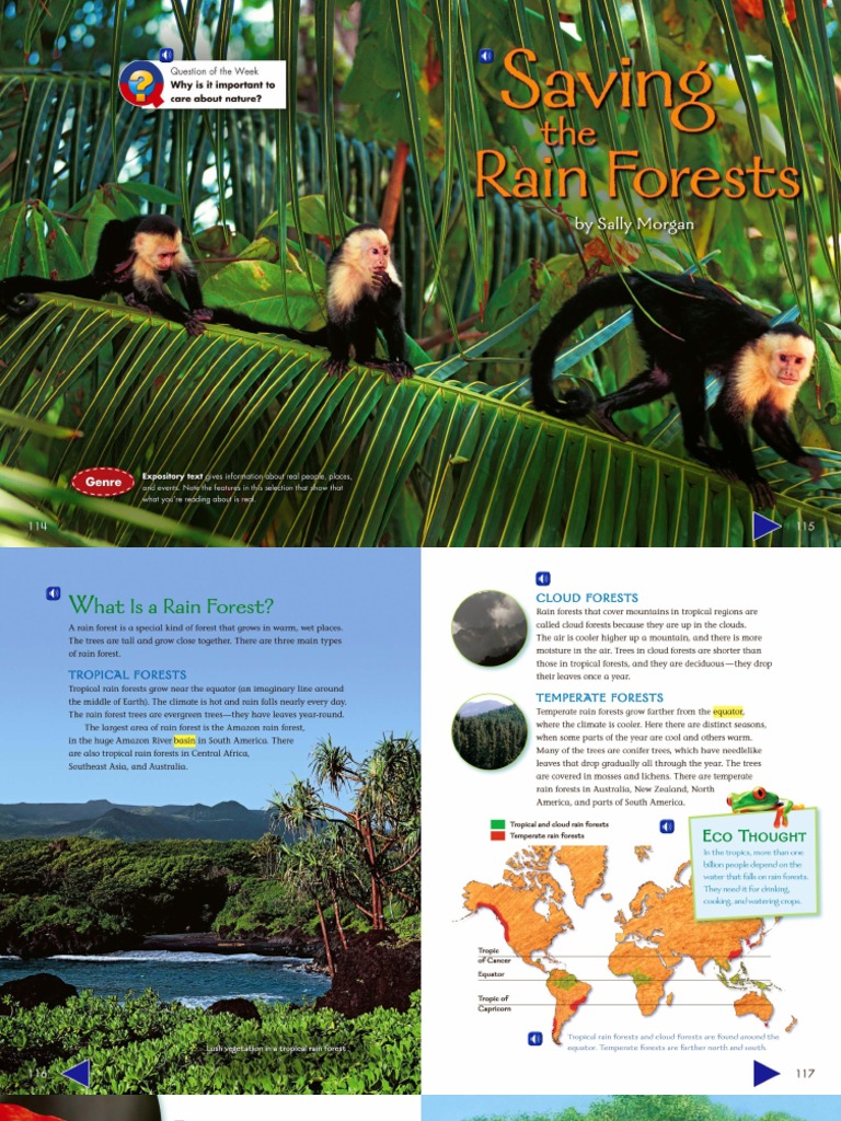 Saving The Rain Forest in PDF | PDF