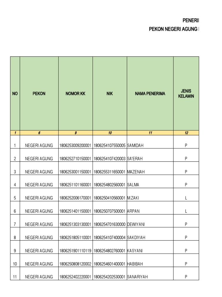 Form Bnba KPM BLT DD 2023 Pekon Negeri Agung | PDF