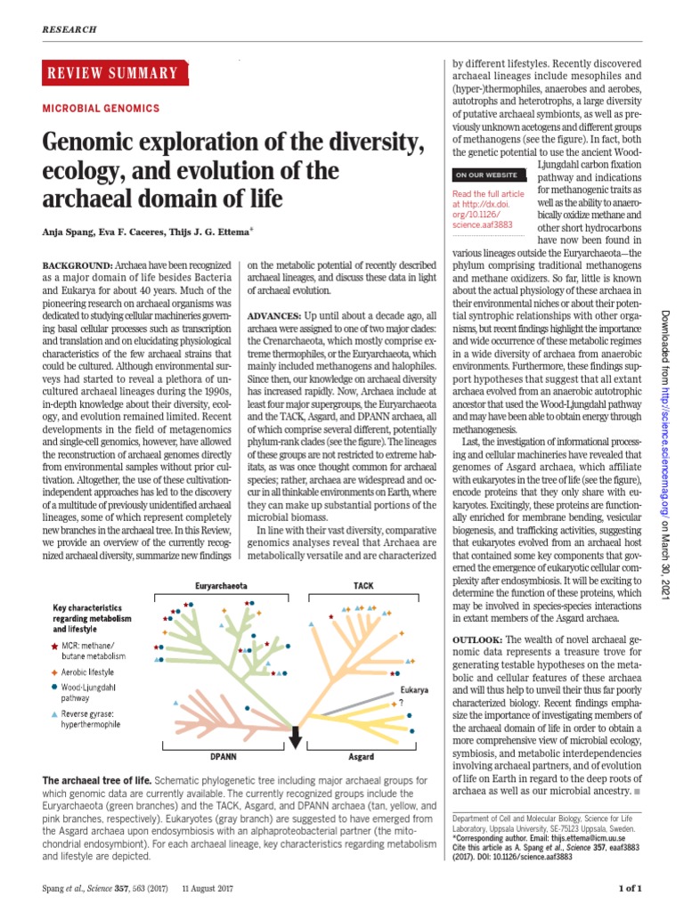 Evolution of The Archaeal Domain of Life | PDF | Archaea | Eukaryotes