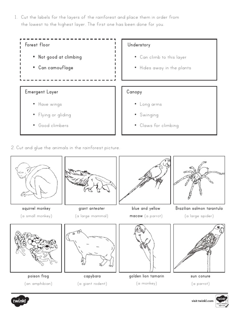US T 493 Animals in The Amazon Rainforest Cut and Glue Worksheets - Ver ...