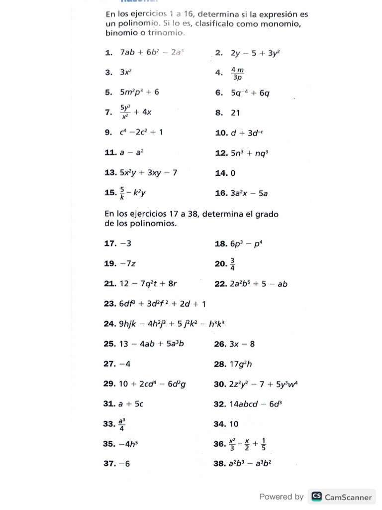 Ejercicios Polinomios | PDF