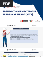 SCTR Rimac | PDF | Labor | Jubilación
