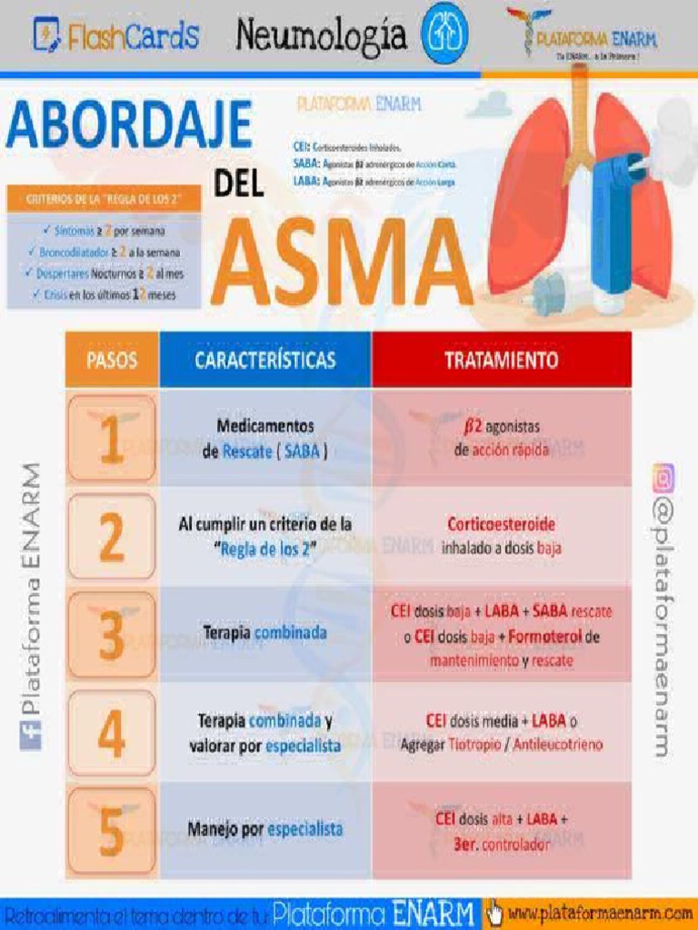 Abordaje Del Asma | PDF
