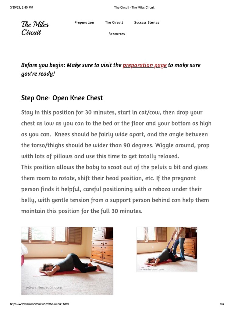 The Circuit - The Miles Circuit | PDF