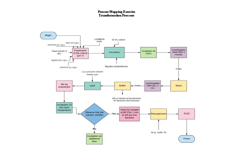 Process Mapping Exercise | PDF