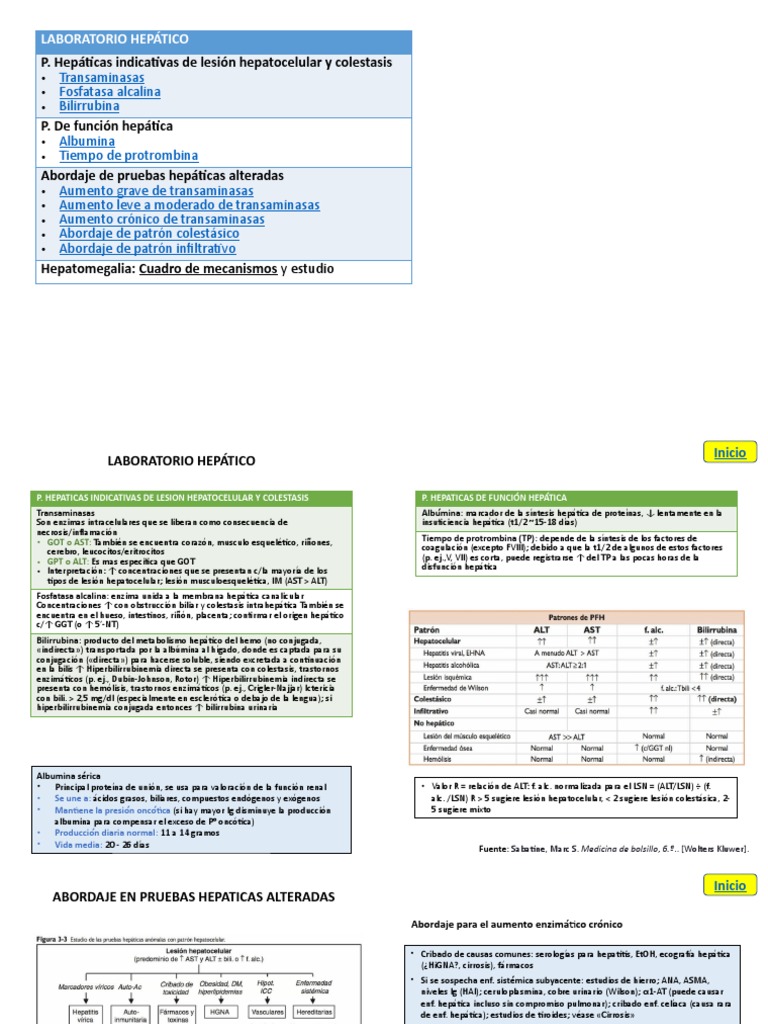 Fisiología Hepática y Laboratorio (CRF) | PDF