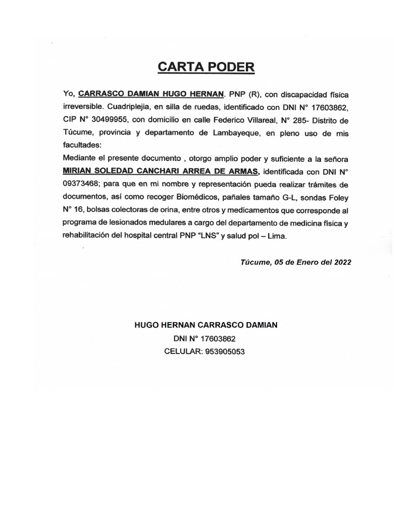 Carta Poder 2 | PDF