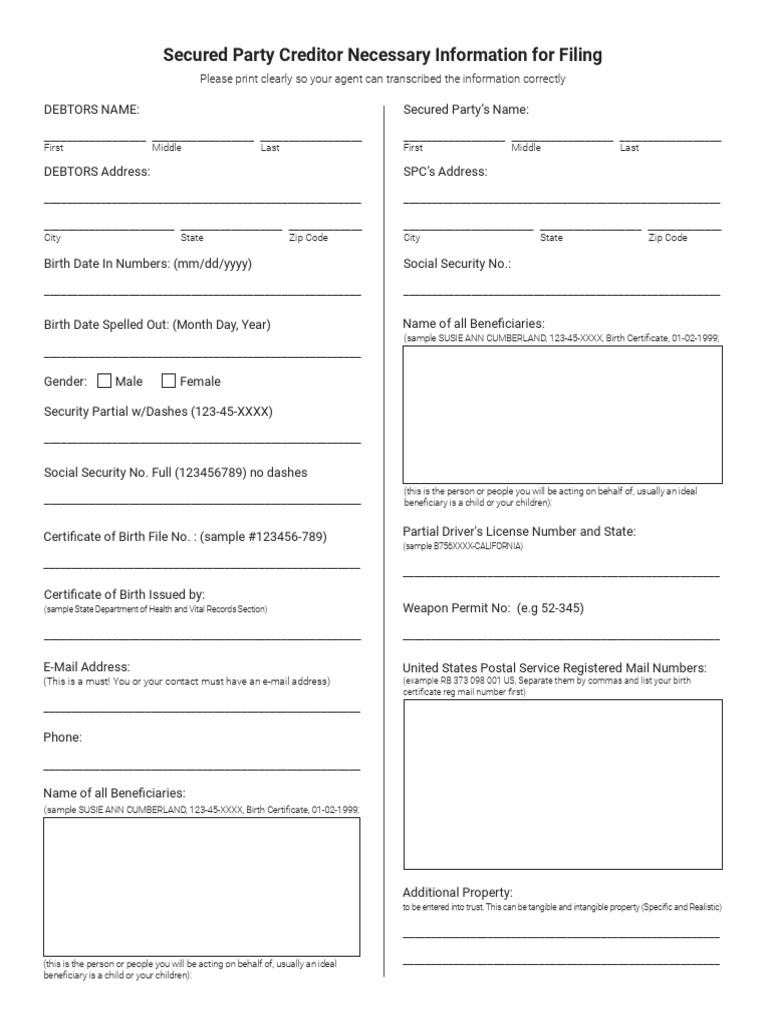Fillable SPC | PDF | Uniform Commercial Code | Securities (Finance)