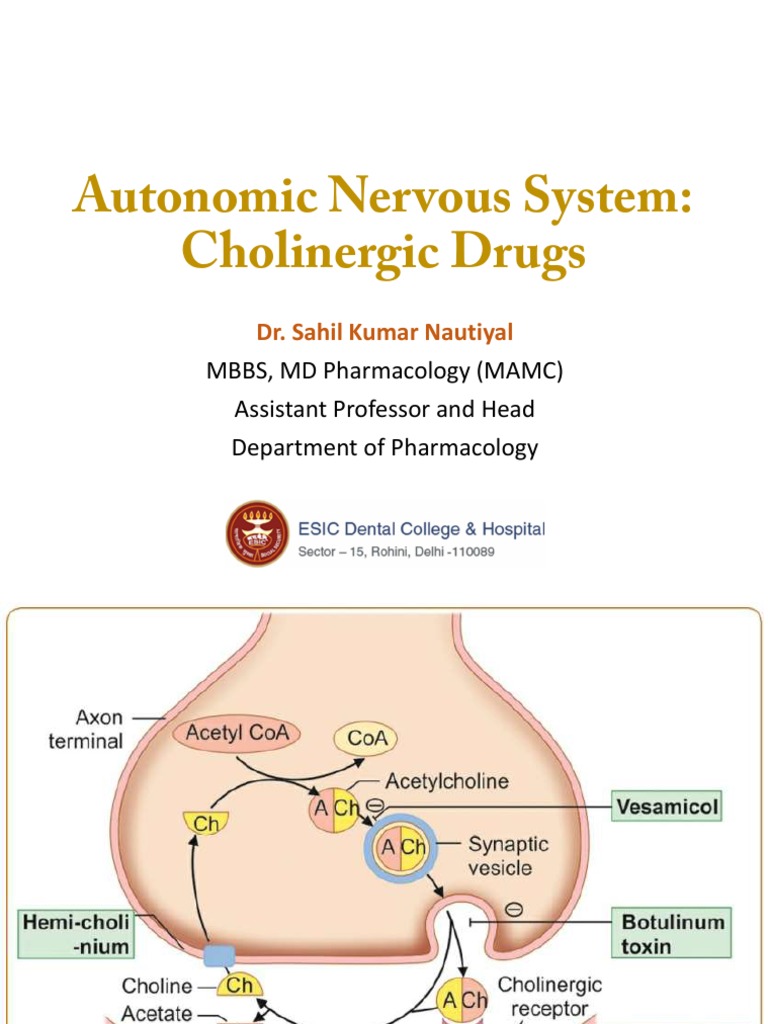 Cholinergic Drugs | PDF | Acetylcholine | Glaucoma