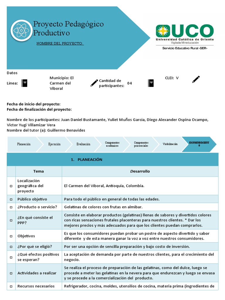 Formato Ejemplo PPP | PDF