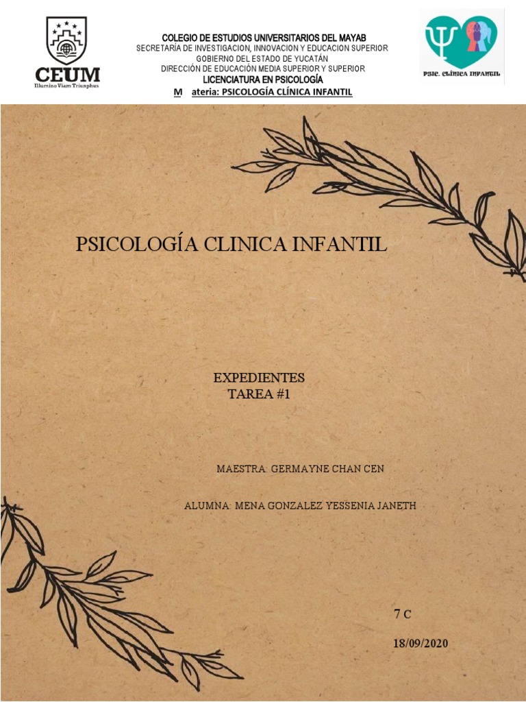 Expedientes-Psicologia Clinica Infantil-Mena Gonzalez Yessenia Janeth ...