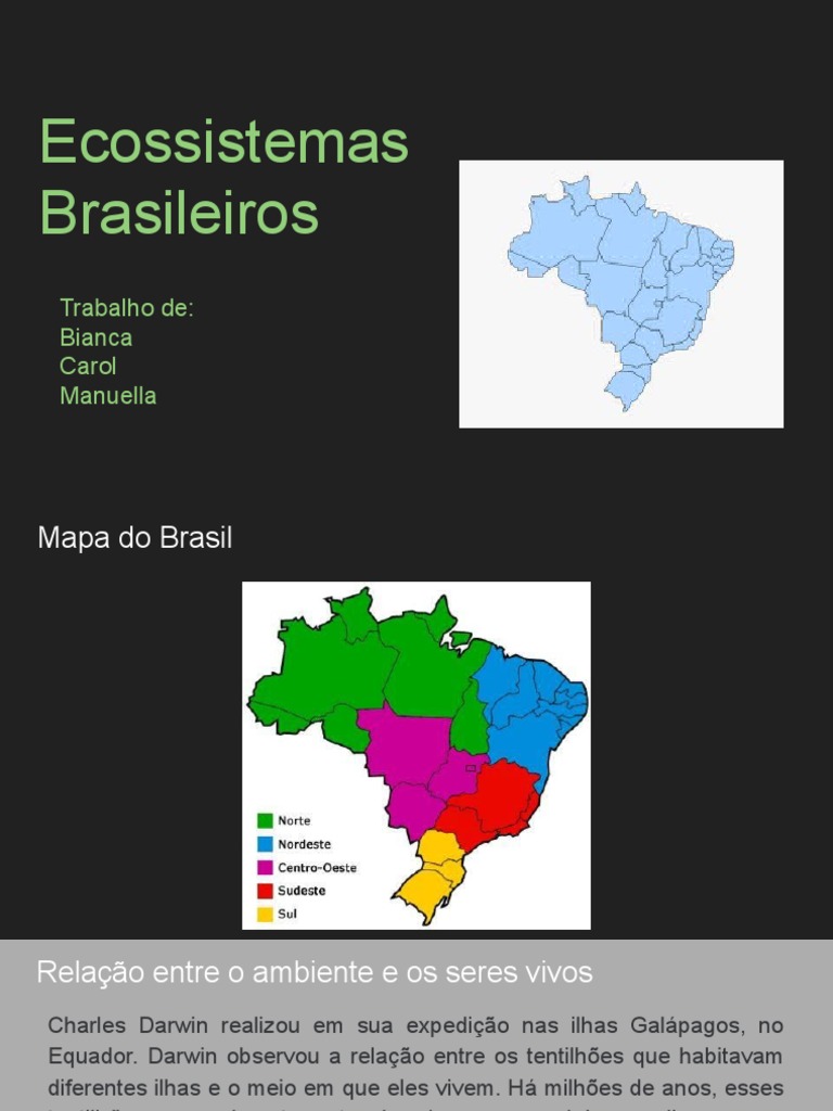 Ecossistemas Brasileiros: Trabalho De: Bianca Carol Manuella | PDF | Ecossistema | Florestas
