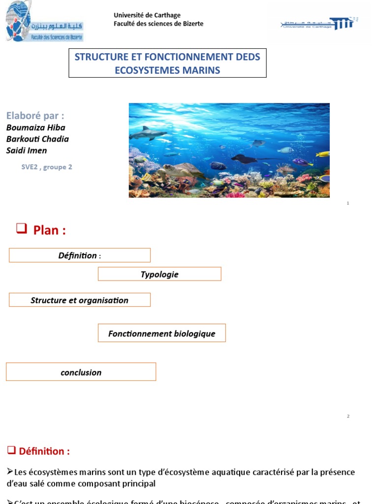 Écosystèmes Marins : Structure et Typologie | PDF | Réseau trophique ...