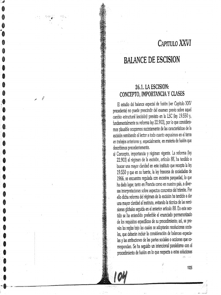 Balance de Escision | PDF