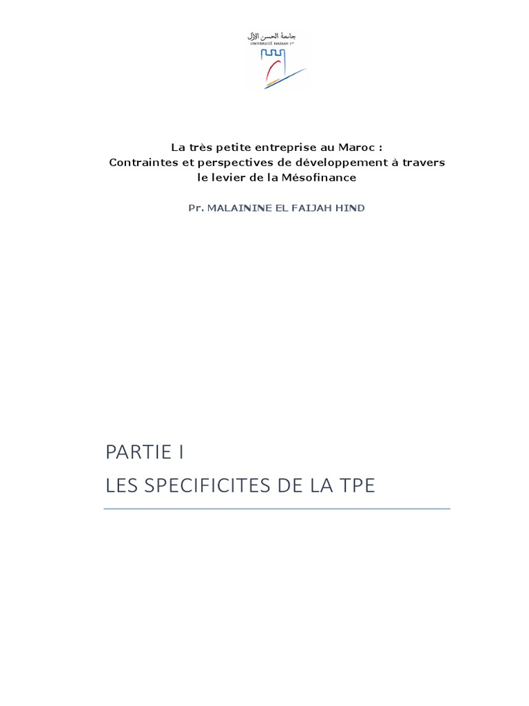 TPE au Maroc : Défis et Perspectives | PDF | Business | Petite ou ...