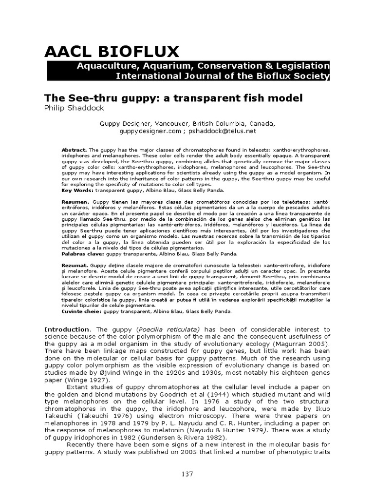 The See Thru Guppy A Transparent Fish | PDF | Biological Processes ...