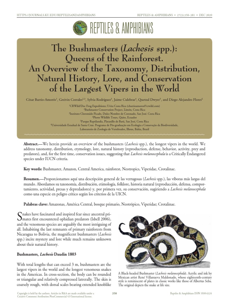 Reptiles & Amphibians | PDF | Snake