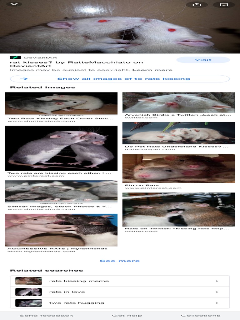 To Rats Kissing - Google Search | PDF | World Wide Web | Internet & Web