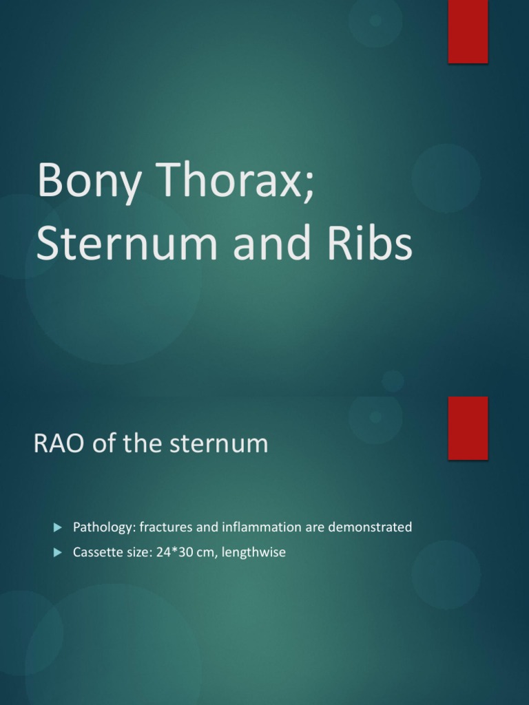 RAO View of the Sternum and Ribs | PDF | Thorax | Musculoskeletal System