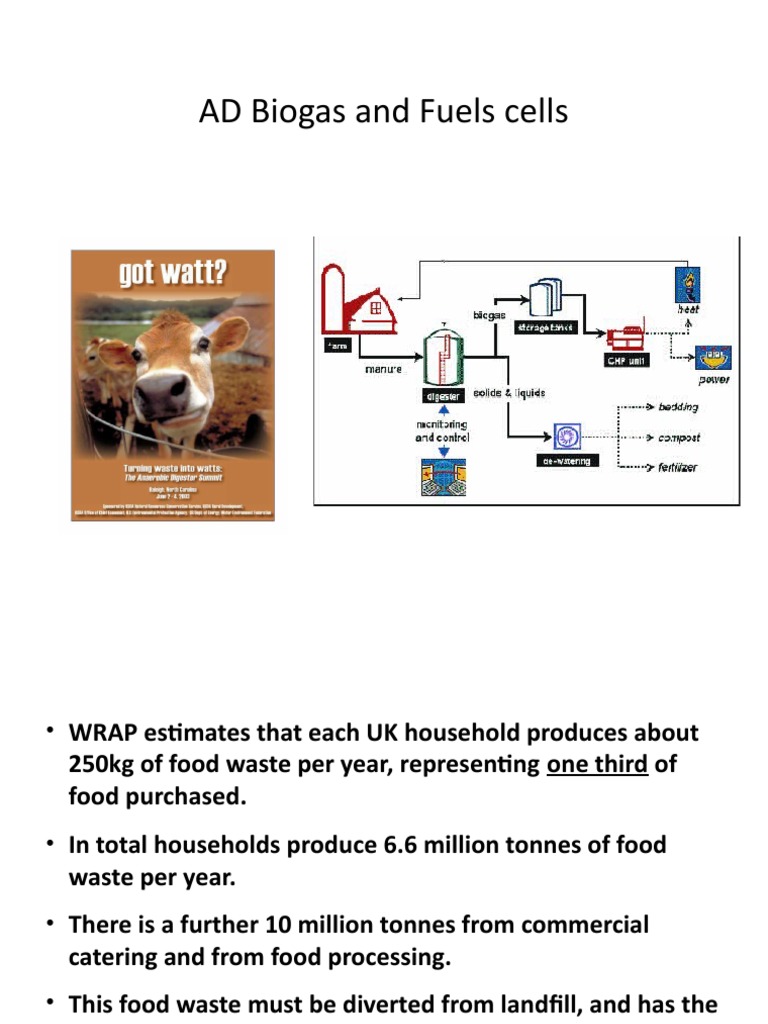 Harnessing Food Waste: An Overview of Anaerobic Digestion and its Role ...