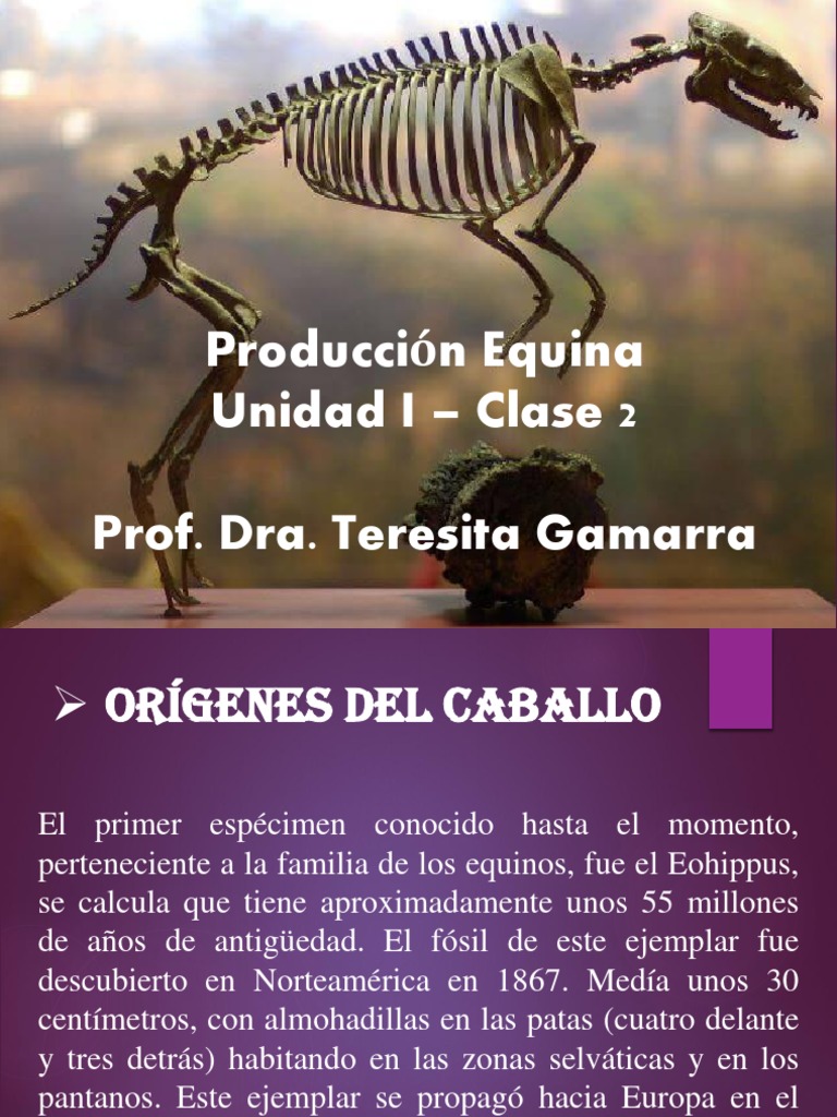 Origen Del Caballo | PDF | Caballos | Équidos