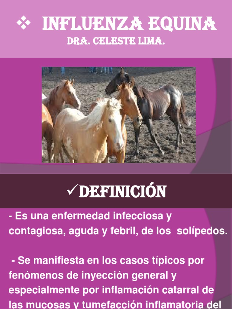 Influenza Equina 2022 | PDF | Influenza | Inflamación