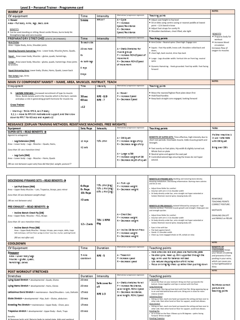 Developing Cardiovascular Endurance and Muscular Strength: A Personal ...