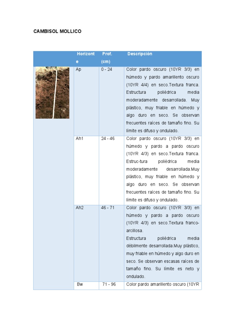 Cambisol Mollico | PDF | Suelo | Naturaleza