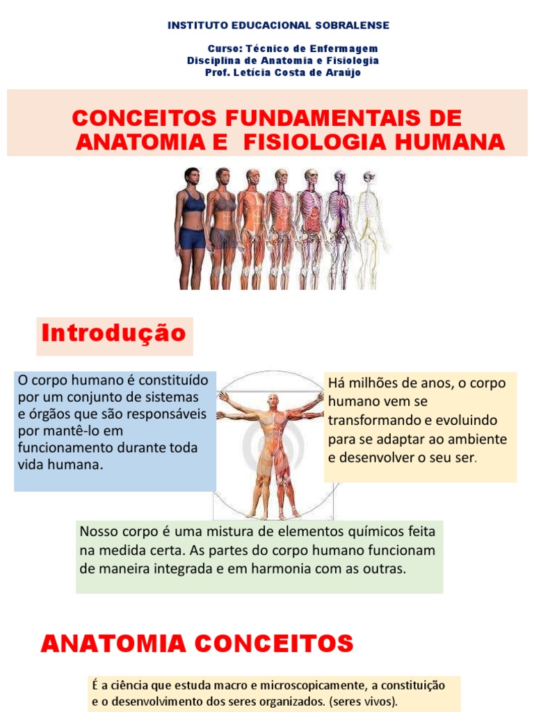 Aula 01 - Anatomia e Fisiologia Humana | PDF | Corpo humano | Anatomia