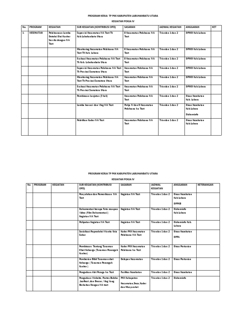 Program Kerja Pokja 4 TP PKK Kabupaten Labuhanbatu Utara Tahun 2024 | PDF