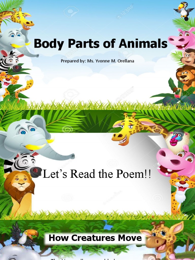 Animal Body Parts for Kids | PDF | Wellness | Science & Mathematics