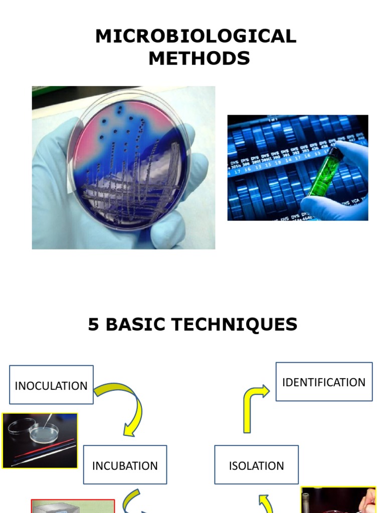 LECTURE 4-Microbiological methods-S201920I - NMM | PDF | Growth Medium ...