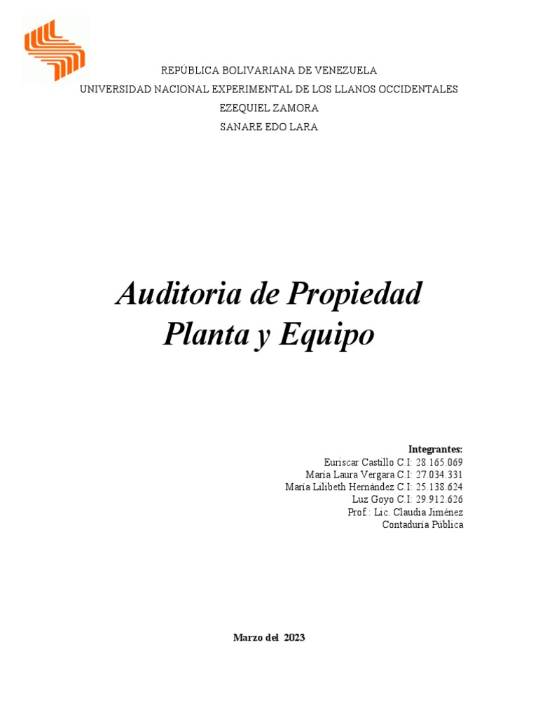 Auditoria de Propiedad Planta y Equipo Luz Marian | PDF | Auditoría ...