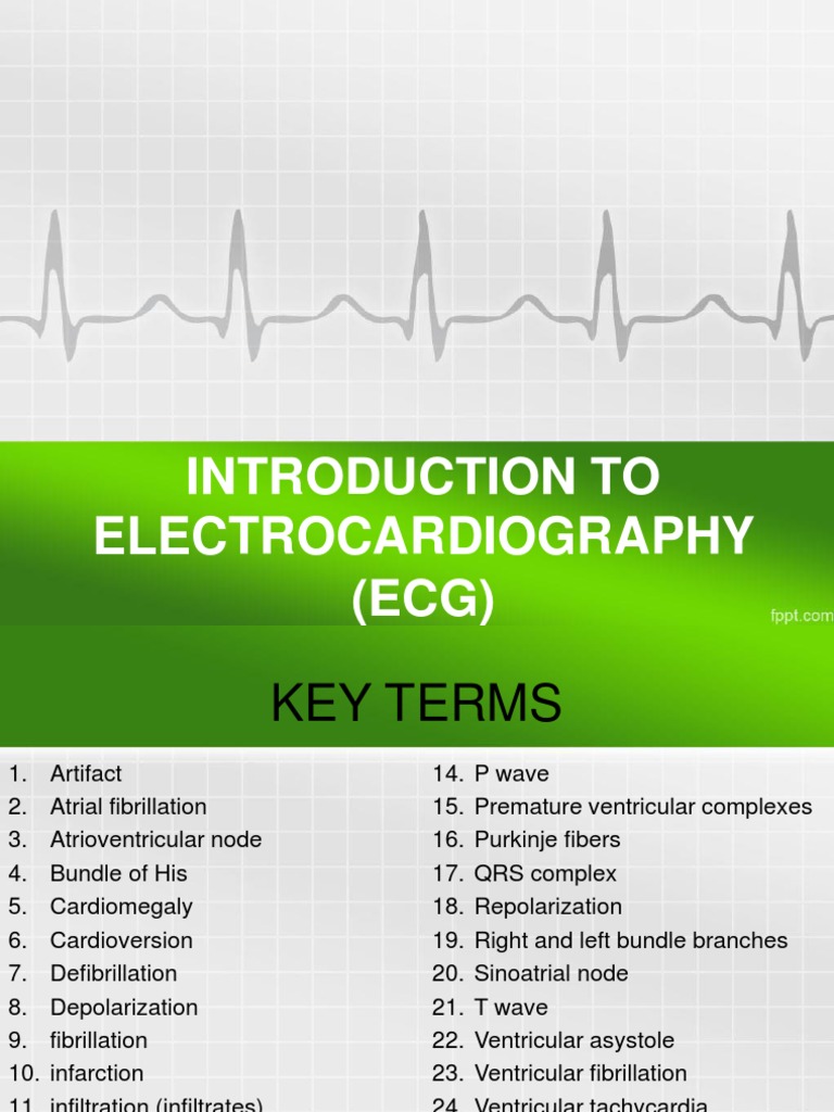 5 Ecg | PDF | Electrocardiography | Circulatory System