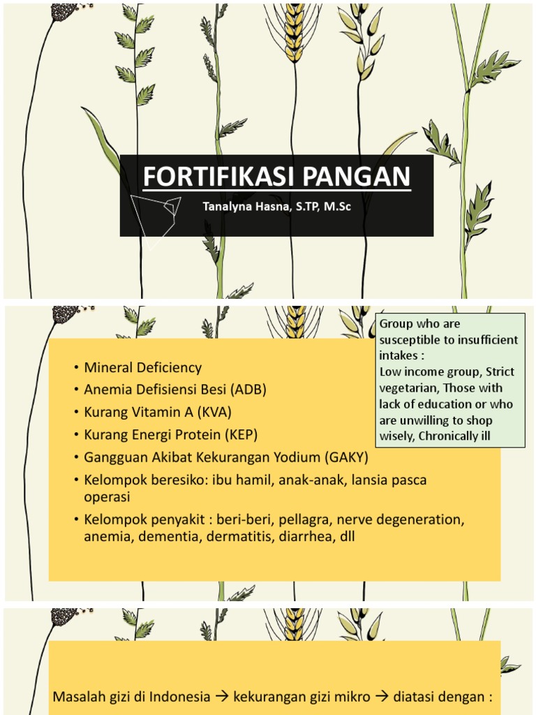 Fortifikasi Pangan | PDF