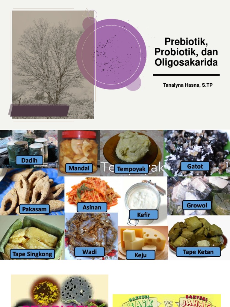 Probiotik, Prebiotik, Oligosakarida | PDF