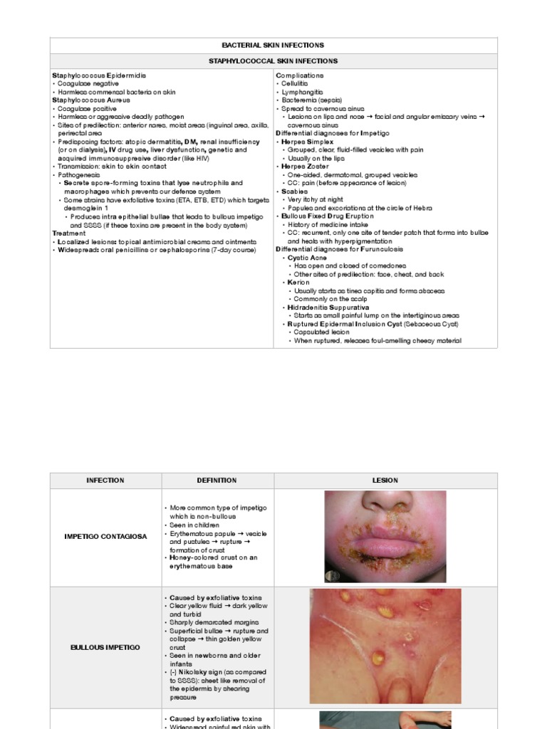 Bacterial Skin Infections Overview | PDF | Staphylococcus Aureus ...