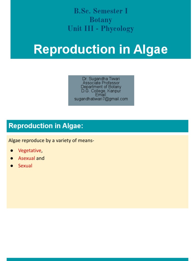 Reproduction in Algae 4 | PDF | Sexual Reproduction | Spore