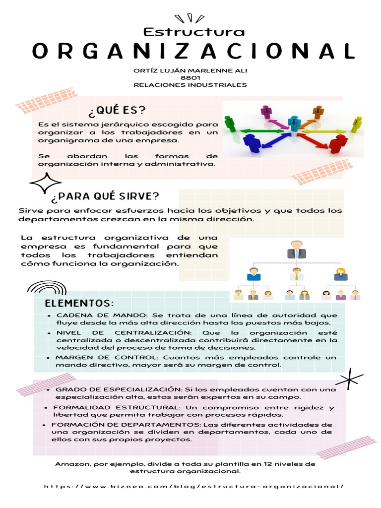 Estructura Organizacional y Control Empresarial | PDF