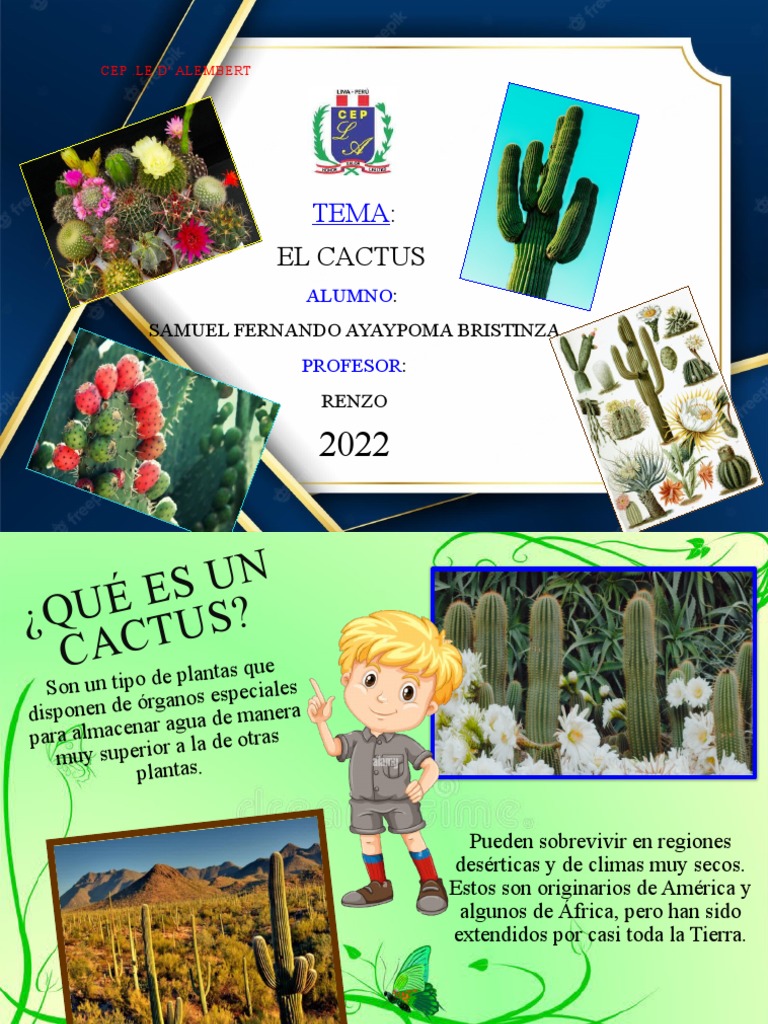 El Cactus | PDF | Plantas | Botánica