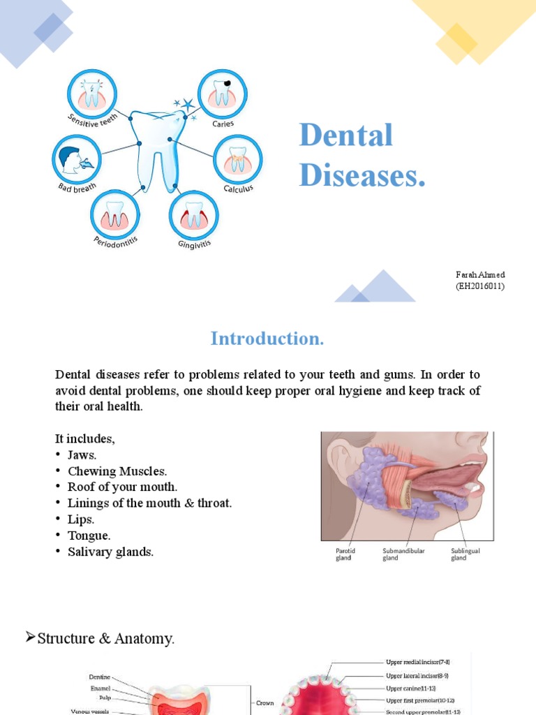 Dental Diseases | PDF | Oral Hygiene | Clinical Medicine