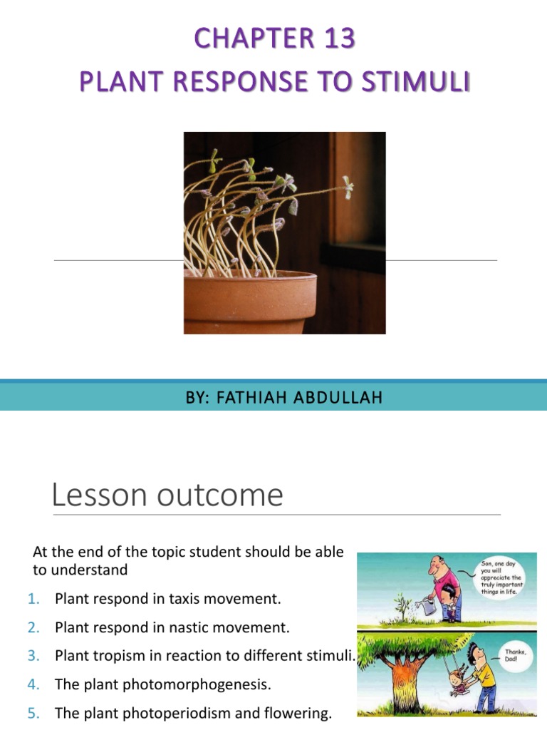 Plant Responses to Environmental Stimuli | PDF | Circadian Rhythm | Auxin