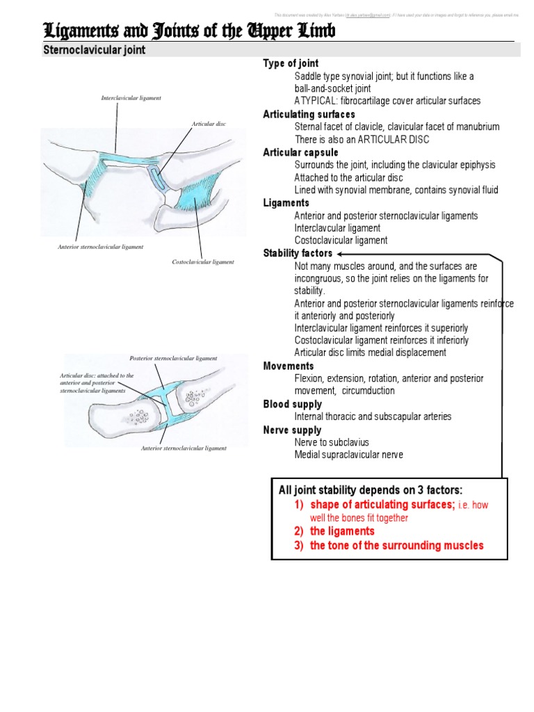 UPPER LIMB - 8 Ligaments and Joints of The Upper Limb | PDF | Elbow ...