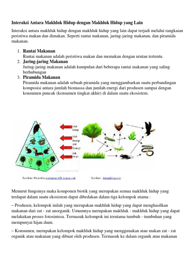 Interaksi Antara Makhluk Hidup dengan Makhluk Hidup yang Lain | PDF
