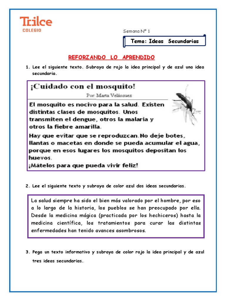 Tarea de RV 1 | PDF