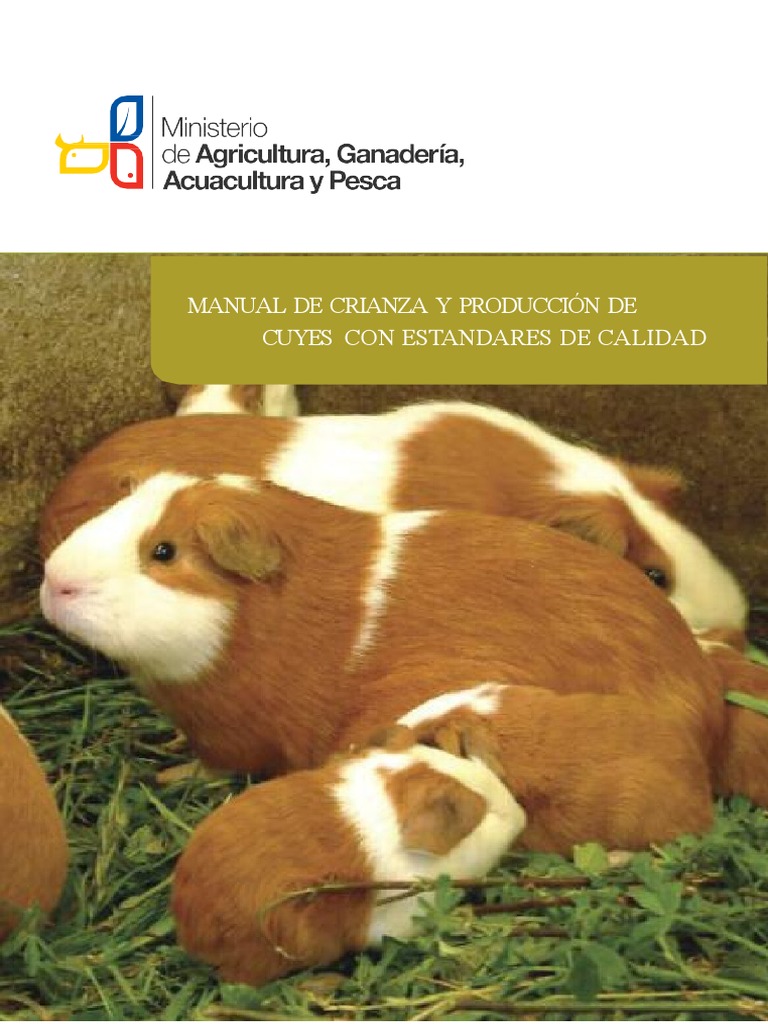 Clase 3 Manual-Para-La-Crianza-Del-Cuy | PDF | Conejillo de indias ...
