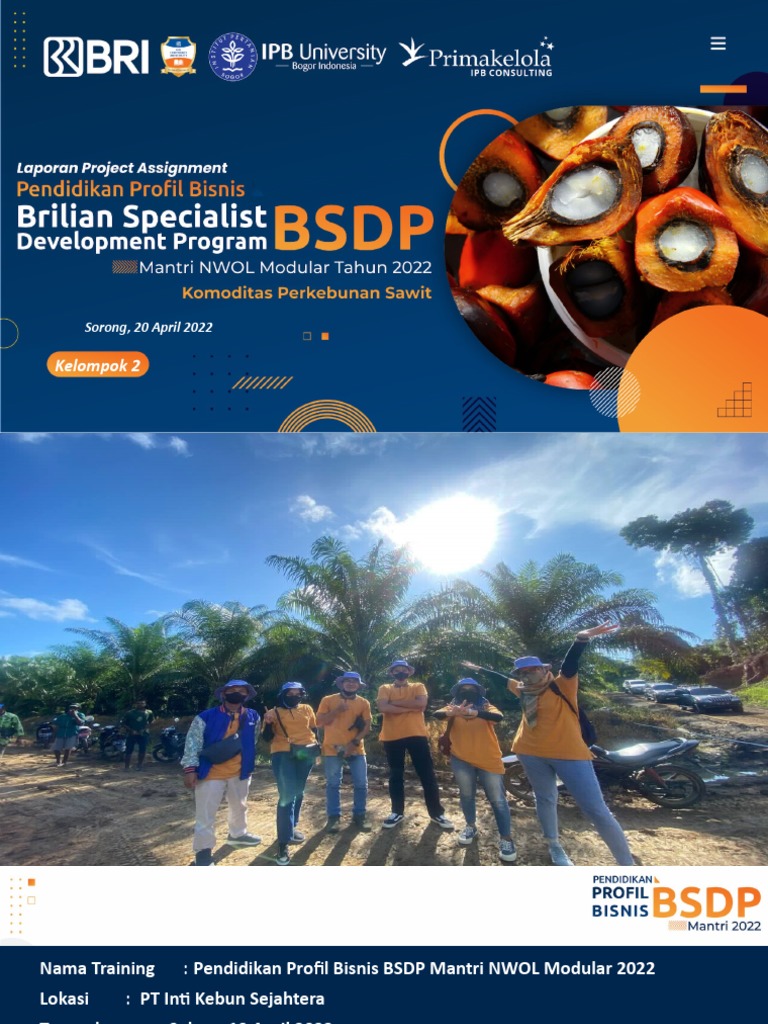 Project Assignment BRI BSDP - Sawit KELOMPOK 2 | PDF