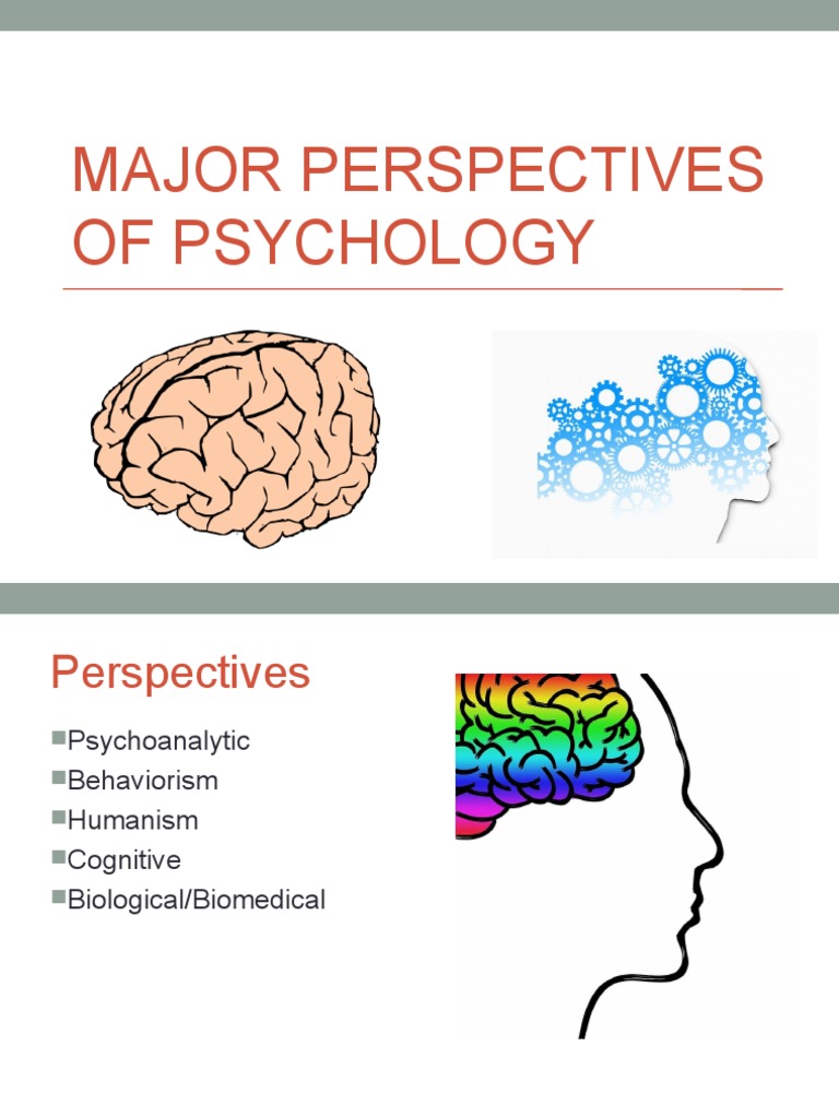 Key Perspectives in Psychology Explained | PDF | Psychoanalysis ...
